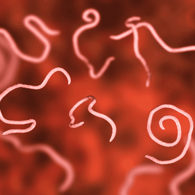 Skin Rashes, Hives, and Eczema from Parasites: Causes, Related ...